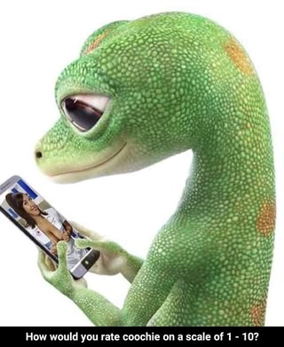 Coochie memes. Best Collection of funny coochie pictures on iFunny