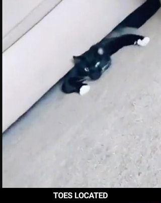 (3) Incoming "FEET LOCATED" memes LOCATED - iFunny