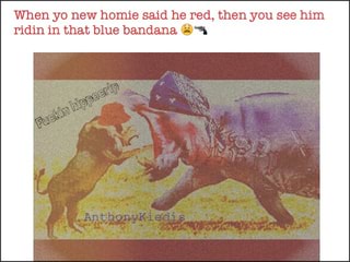 Hippocrip memes. Best Collection of funny hippocrip pictures on iFunny