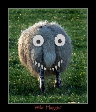 Haggis memes. Best Collection of funny haggis pictures on iFunny