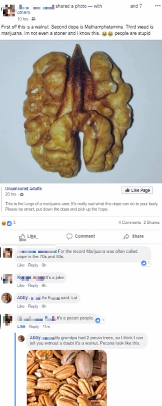 Pecan Sandies Memes