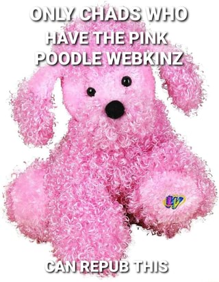 Webkinz memes. Best Collection of funny webkinz pictures on iFunny