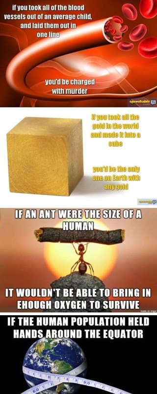 Picture memes QP5hFLkc6 by chad76: 0.9K comments - iFunny :)