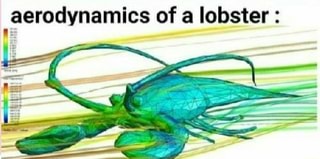 Aerodynamics memes. Best Collection of funny aerodynamics pictures on ...
