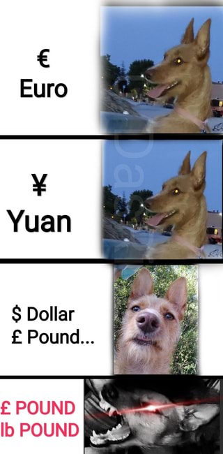 Loba memes. Best Collection of funny loba pictures on iFunny