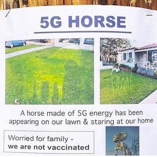 5g memes. Best Collection of funny 5g pictures on iFunny