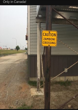 Zamboni memes. Best Collection of funny zamboni pictures on iFunny