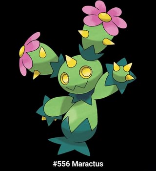 Maractus memes. Best Collection of funny maractus pictures on iFunny