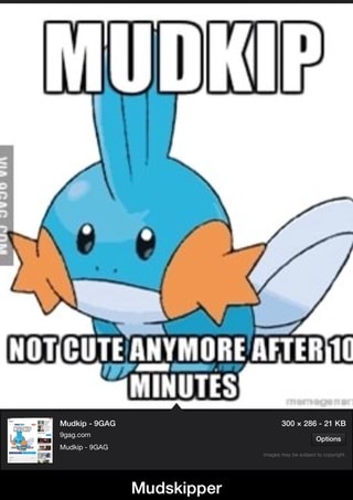 Mudskipper memes. Best Collection of funny mudskipper pictures on iFunny