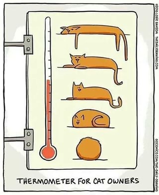 Thermometer memes. Best Collection of funny thermometer pictures on iFunny