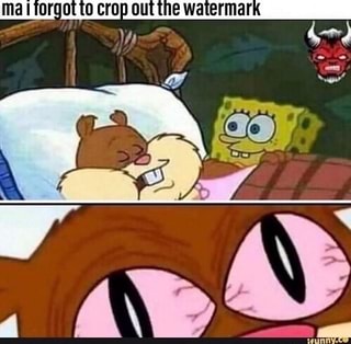 When you make a meme but forget to crop out the watermark - iFunny :)