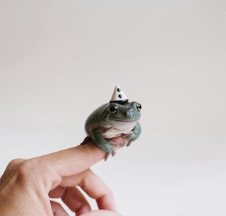 Smol memes. Best Collection of funny smol pictures on iFunny