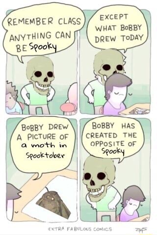 A friend sent me a picture of this moth and it reminded me a lot of ...