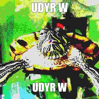 Udyr memes. Best Collection of funny udyr pictures on iFunny