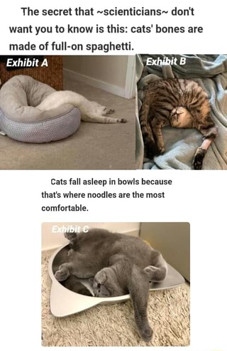 Fall memes. Best Collection of funny fall pictures on iFunny