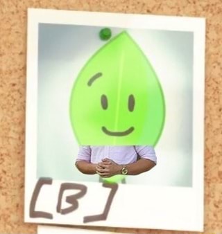 Bfdi memes. Best Collection of funny bfdi pictures on iFunny