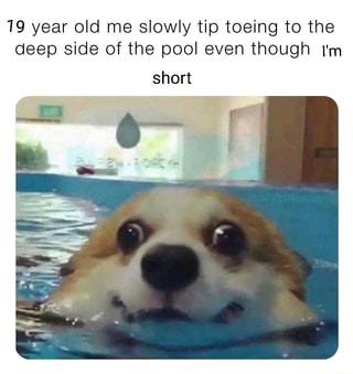 Toeing memes. Best Collection of funny toeing pictures on iFunny