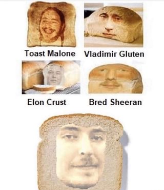 Elon Crust Bred Sheeran - iFunny :)