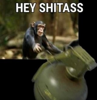 Grenada memes. Best Collection of funny grenada pictures on iFunny