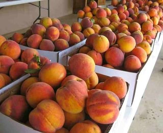 Boatload memes. Best Collection of funny boatload pictures on iFunny