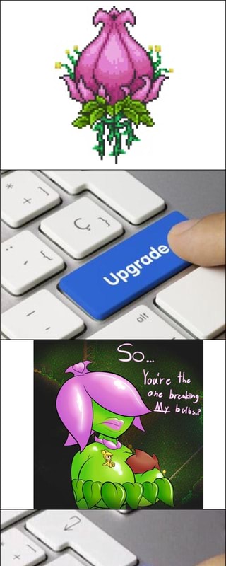 Plantera memes. Best Collection of funny plantera pictures on iFunny