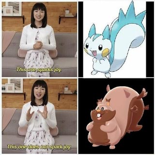 Pachirisu memes. Best Collection of funny pachirisu pictures on iFunny