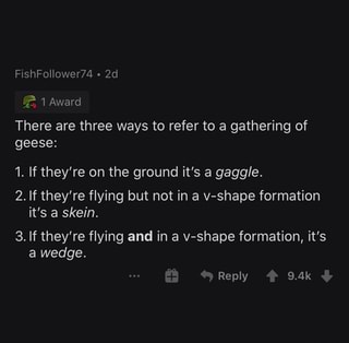 Wedge memes. Best Collection of funny wedge pictures on iFunny