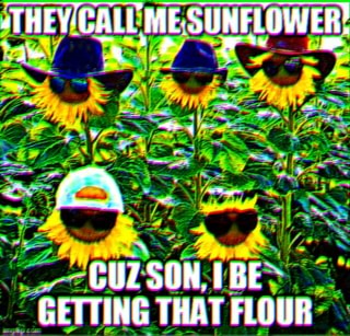 Grouper memes. Best Collection of funny grouper pictures on iFunny