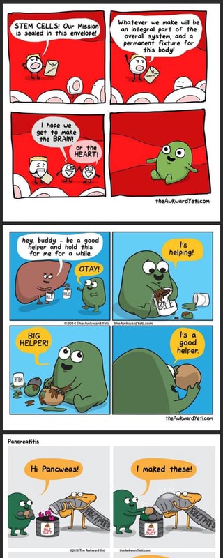 Gallbladder memes. Best Collection of funny gallbladder pictures on iFunny