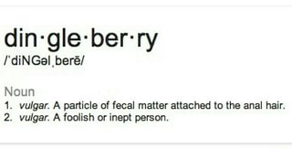 Dingleberry memes. Best Collection of funny dingleberry pictures on iFunny