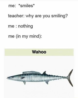 Wahoo memes. Best Collection of funny wahoo pictures on iFunny