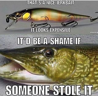 Walleye memes. Best Collection of funny walleye pictures on iFunny