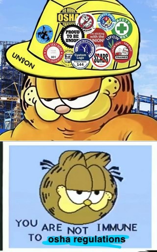 Osha memes. Best Collection of funny osha pictures on iFunny