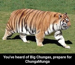You've heard of Big Chungas, prepare for ChungaMunga - You've heard of ...
