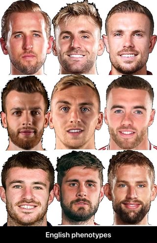 Phenotypes memes. Best Collection of funny phenotypes pictures on iFunny