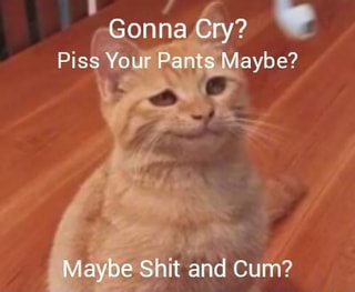 This cat saying "are you coming" is the cutest shit ever. - iFunny :)