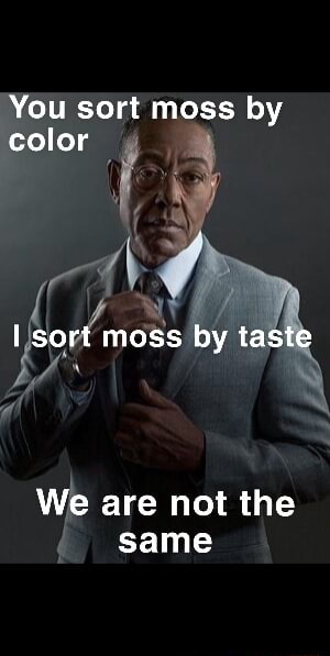 WHAT ARE YOU DOING WITH THAT MOSS? - iFunny