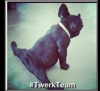 Telework memes. Best Collection of funny telework pictures on iFunny