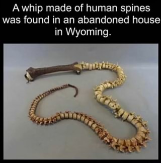 Spines memes. Best Collection of funny spines pictures on iFunny