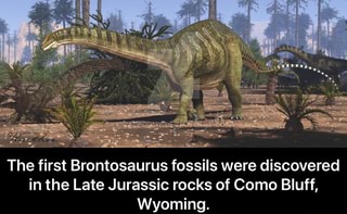 Brontosaurus memes. Best Collection of funny brontosaurus pictures on ...