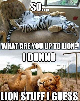 Zoo memes. Best Collection of funny zoo pictures on iFunny