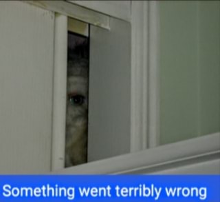 Something went terribly wrong - iFunny