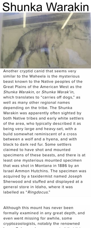 Shunka Warakin Another cryptid canid that seems very similar to the ...