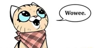 Wowee memes. Best Collection of funny wowee pictures on iFunny