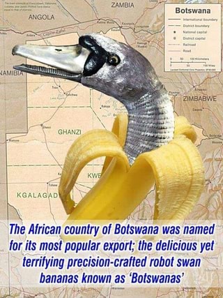 Botswana memes. Best Collection of funny botswana pictures on iFunny