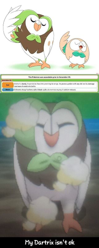 Dartrix memes. Best Collection of funny dartrix pictures on iFunny