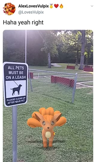 Vulpix memes. Best Collection of funny vulpix pictures on iFunny