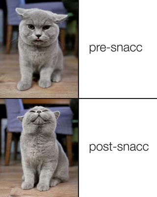 Snaccident memes. Best Collection of funny snaccident pictures on iFunny