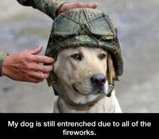 Entrenched memes. Best Collection of funny entrenched pictures on iFunny