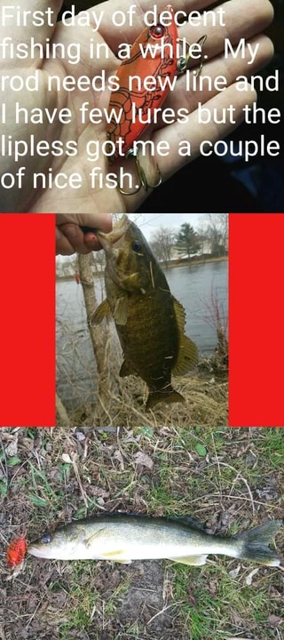 Walleye memes. Best Collection of funny walleye pictures on iFunny